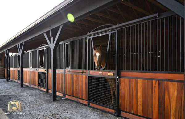 Horse Stables: Types, Materials, and Designs Explained