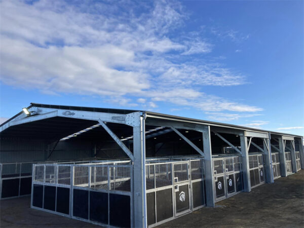 Benefits of Portable Horse Stables: Modular Design & Easy Setup
