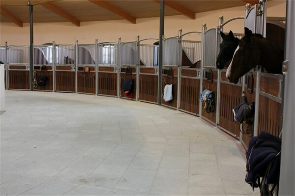 The Essential Benefits of Custom Horse Stables