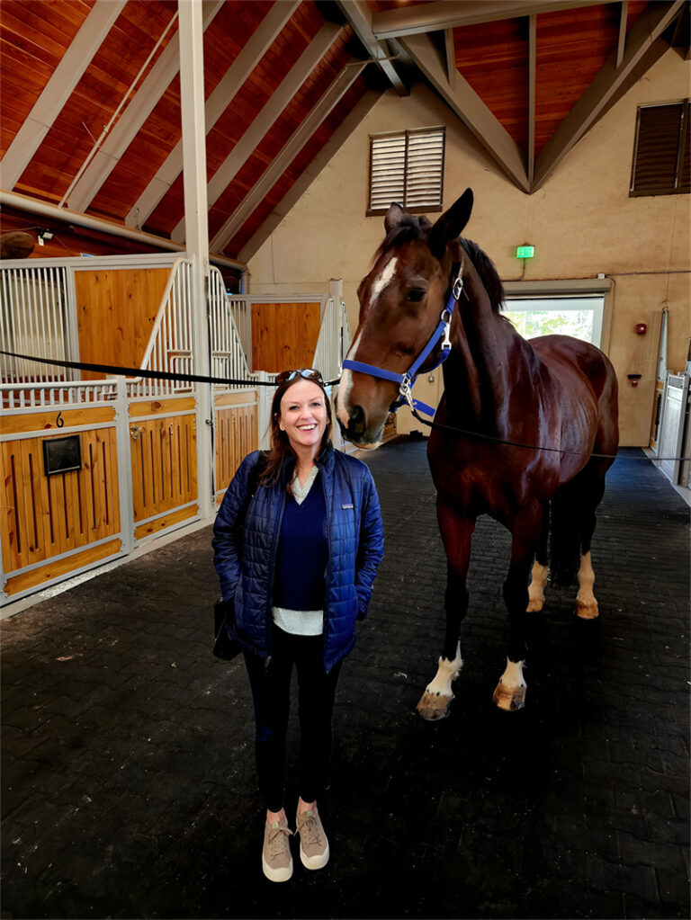 Top 5 Key Benefits of Custom Horse Stables for Your Horses